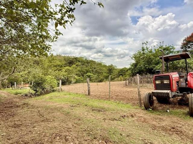 OPORTUNIDADE Explore a Vida no Campo na Fazenda Santa Rita!