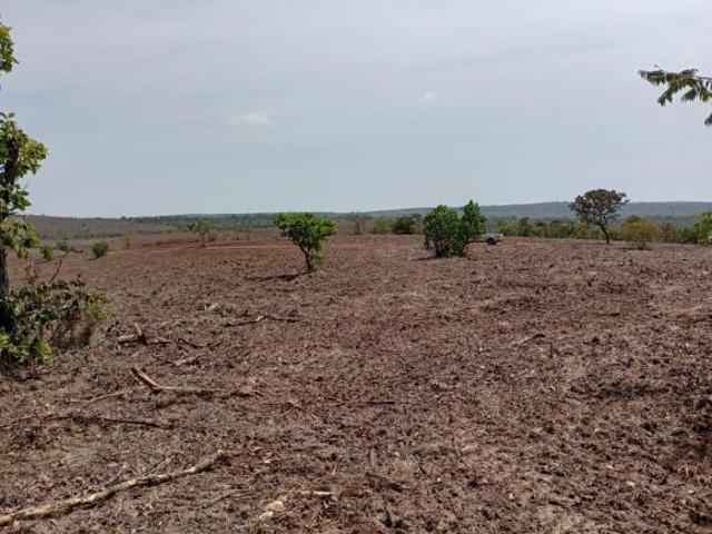 OPORTUNIDADE FAZENDA 1250 HECTARES REGIAO DE TRES MARIAS MG 6202
