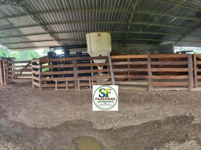 OPORTUNIDADE. FAZENDA À VENDA