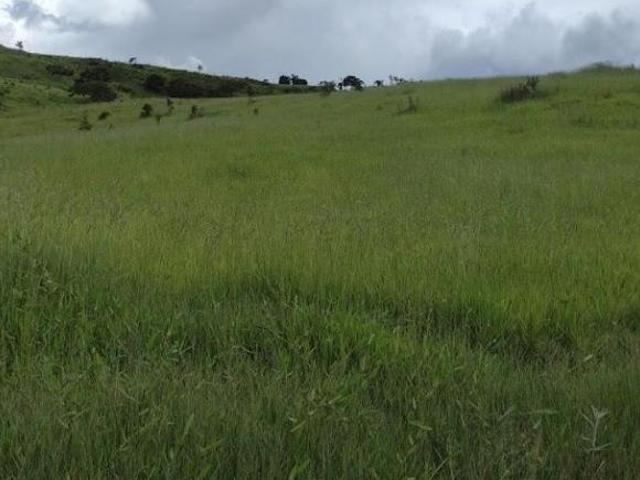 OPORTUNIDADE. Fazenda com 5 dormitórios à venda, 4985200 m² por R$ 11.520.000 Zona Rural Guarati