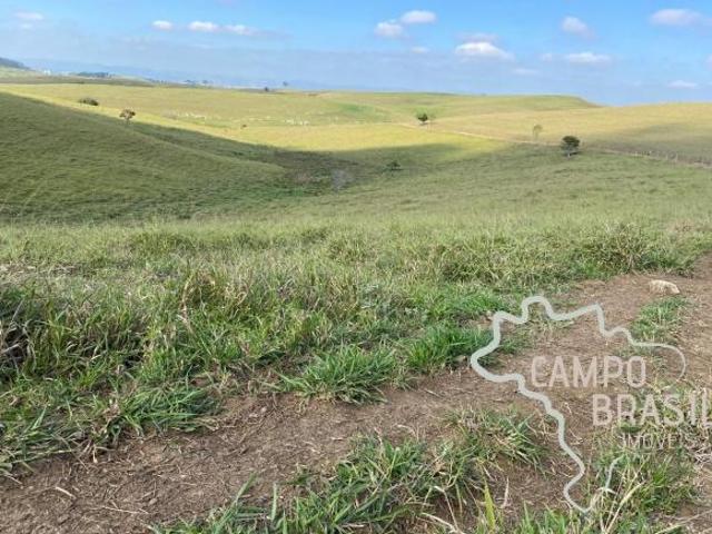 OPORTUNIDADE! FAZENDA DE 482 HECTARES NO VALE DO PARAÍBA!