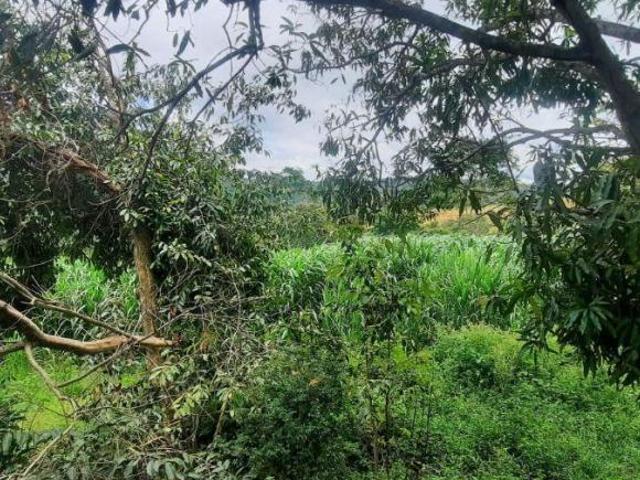 Oportunidade fazenda extremamente aconchegante Santo Antônio do Descoberto