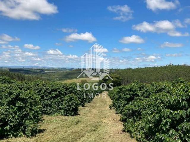 Oportunidade! Fazenda para produção de café na região de Monte Belo MG 03