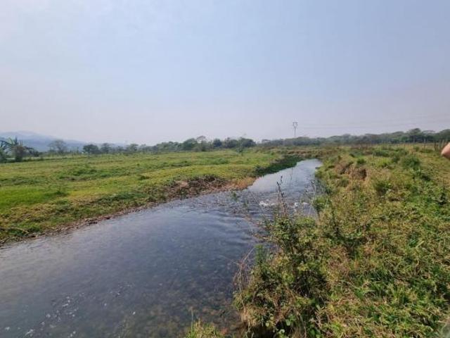 Oportunidade Imperdível: Terreno Exclusivo no Ribeirão Grande, Ideal para Projetos Residenciais e Co
