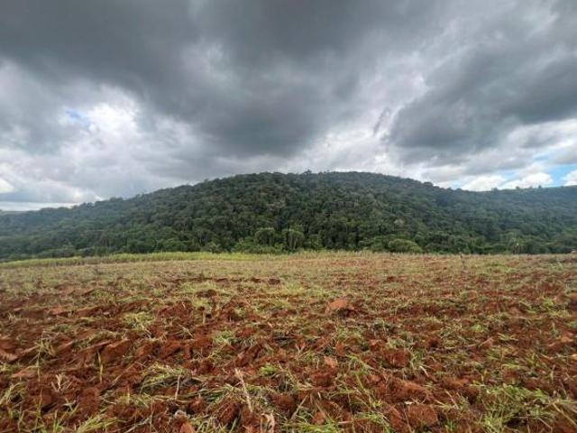 Oportunidade Imperdível – Terreno em Ibiúna