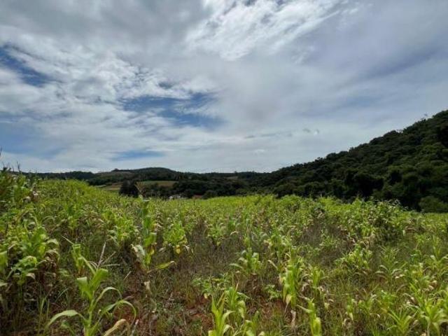 Oportunidade imperdível: terreno 1000m² em Ibiúna