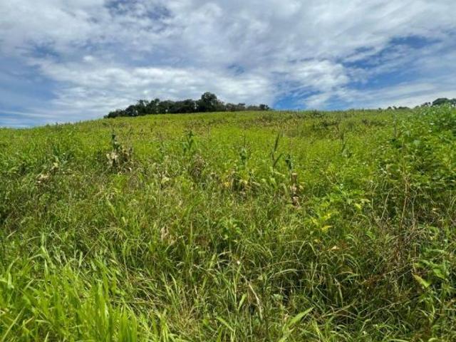 Oportunidade imperdível: terreno 1000m² em Ibiúna