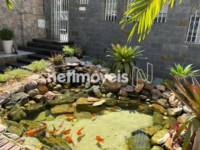 Oportunidade imperdível no Nova Floresta – Casa ampla com excelente potencial!