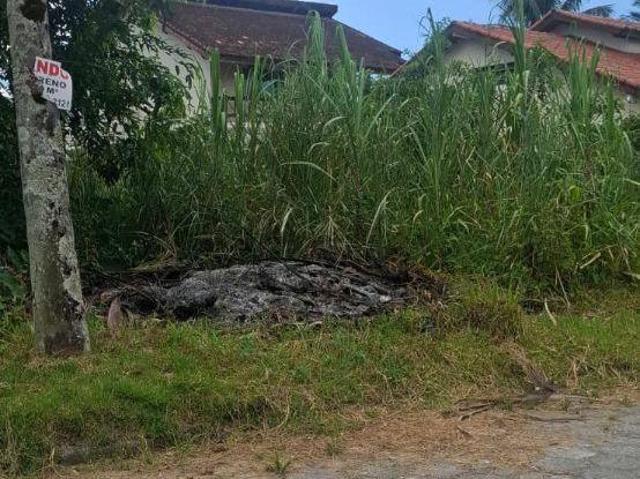 Oportunidade Jardim São Lourenço Terreno 500m2 R$ 750.000,00