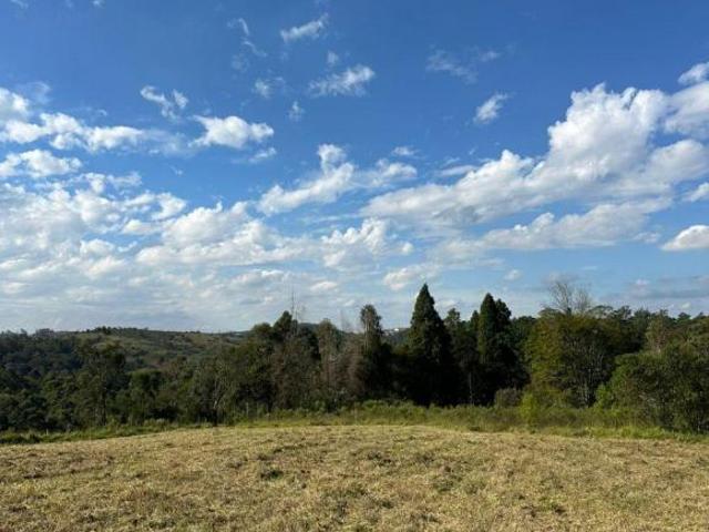 Oportunidade: lote amplo cercado pela natureza
