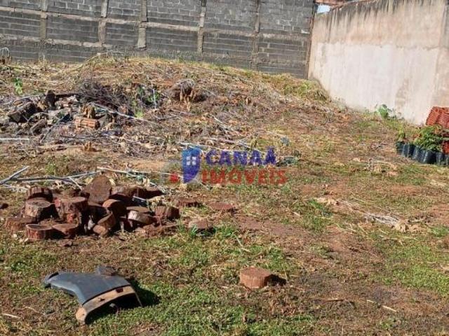 oportunidade lote bairro mansour avenida 250m²