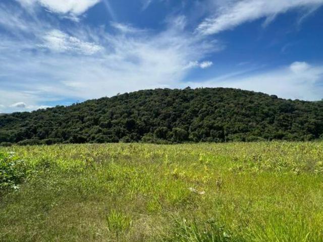 Oportunidade: lote de 500 m² em Ibiúna