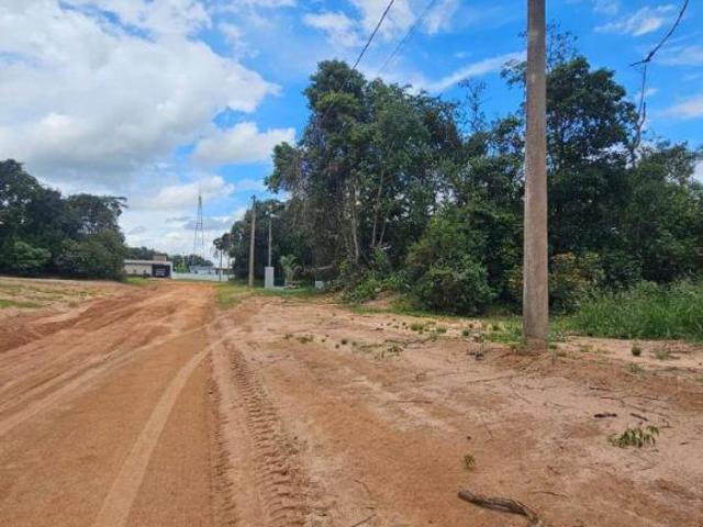 OPORTUNIDADE LOTE PLANO COM VEGETAÇÃO 430M² E PROJETO 25.000,00