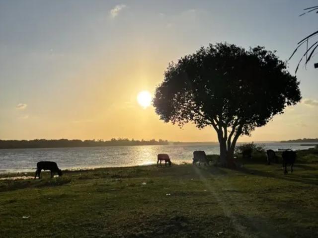 Oportunidade Lotes proximo ao centro de cascavel