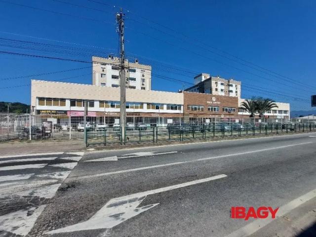 Oportunidade! Loja em Fazenda Santo Antônio São José