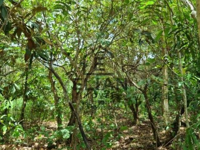 Oportunidade lindo terreno em Chapada dos Guimarães MT com 360m² com duas frentes e um lindo bosqinh