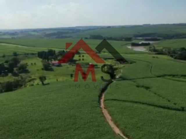 Oportunidade linda Fazenda no Interior de Sp com dupla aptidão, solo fertil e ampla área de pastagem