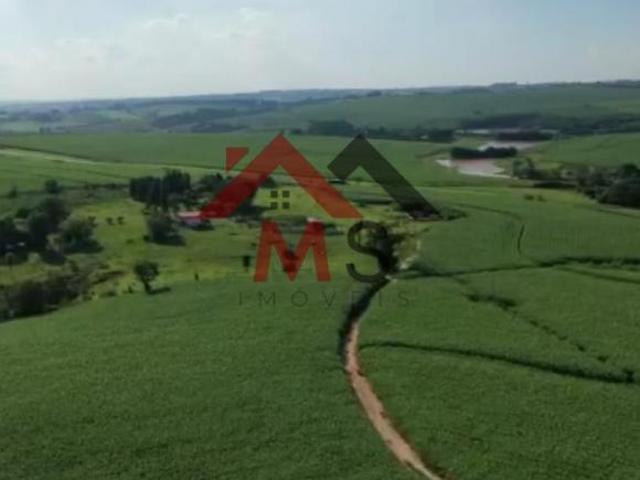 Oportunidade linda Fazenda no Interior de Sp com dupla aptidão, solo fertil e ampla área de pastagem