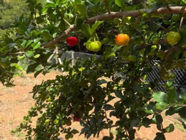 Oportunidade no Condomínio Serra da Liberdade São José do Almeida