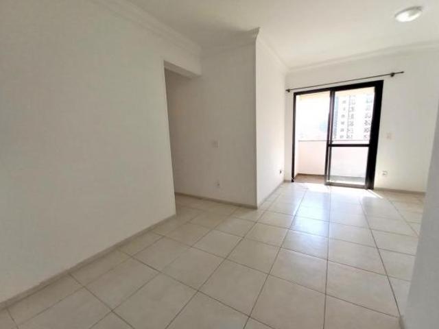 OPORTUNIDADE NO BONFIGLIOLI
