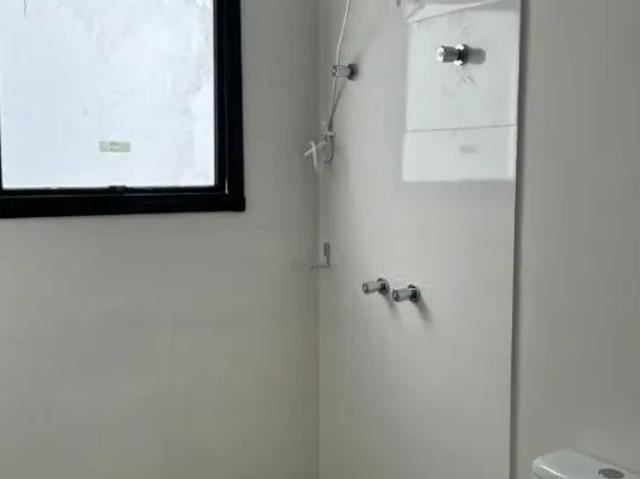 Oportunidade no phytus