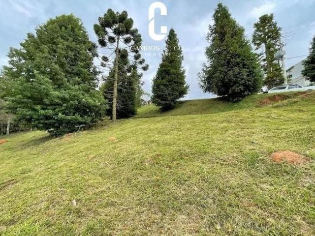 Oportunidade no Reserva Figueiredo 1.111,52 m² R$ 860.000,00 Campos do Jordão SP