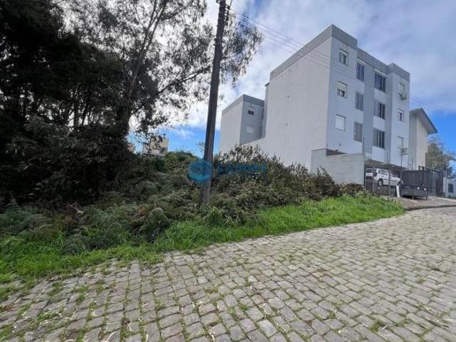 OPORTUNIDADE Negócio terreno Desvio Rizzo