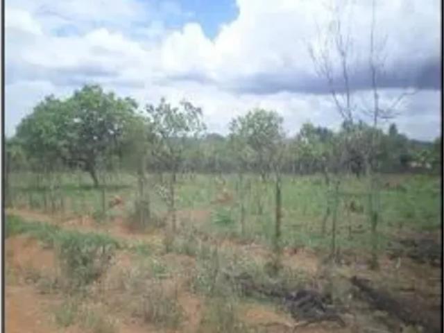 Oportunidade Única em LUZIANIA GO | Tipo: Terreno | Negociação: Venda Direta Online | Situação: Im