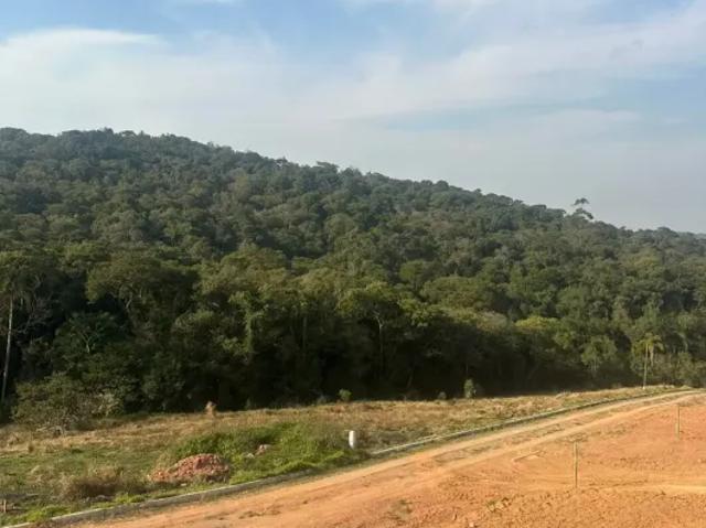 Oportunidade única: garanta seu lote hoje mesmo!