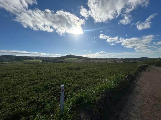 Oportunidade Única: Lotes de 500m² em Caucaia do Alto