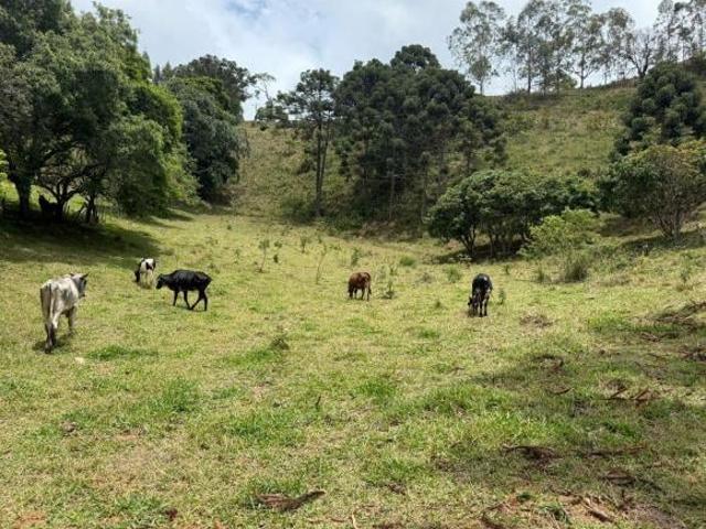 oportunidade sitio 22 mil mts em joanopolis sp valor 230 mil