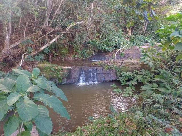 oportunidade sitio com cachoeira em natividade da serra