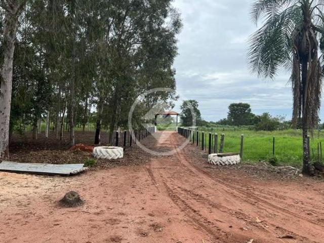 # Oportunidade. Sitio no Assentamento Caetés em Diamantino com 3 hectares, todo formado PORTEIRA
