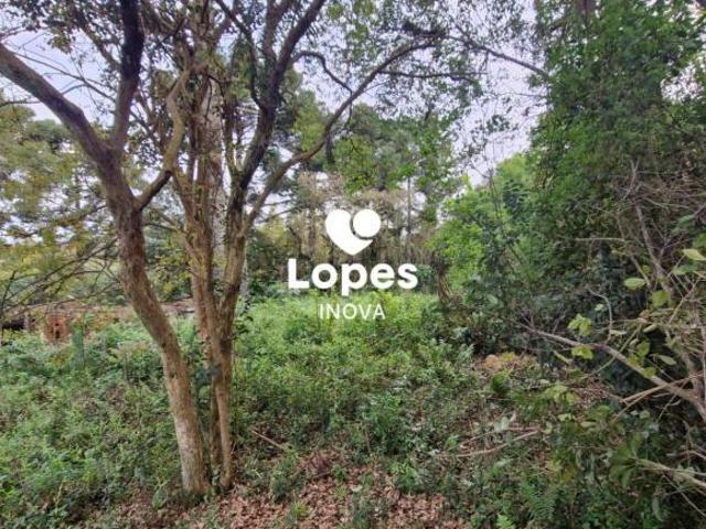 Oportunidade para Investidores – Terreno de 7.090m² no Fazendinha!