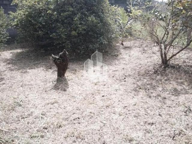 Oportunidade para montar sua chácara