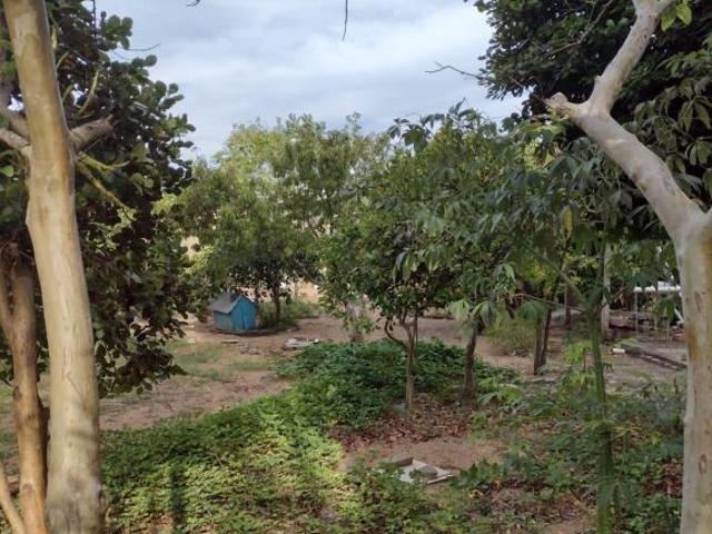 Oportunidade Rara em Camaquã, Terreno de 500m² em Área Central