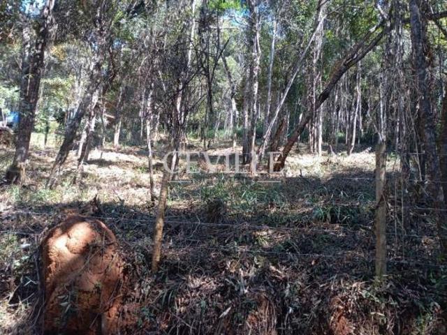 Oportunidade única de adquiri lote Pasargada