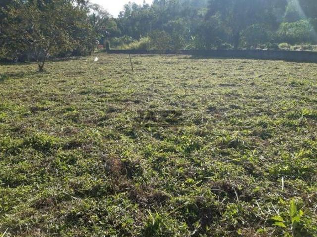 OPORTUNIDADE RARA NO LITORAL! Terreno Plano de 8.900 m² com Infraestrutura Completa em Região de Alt