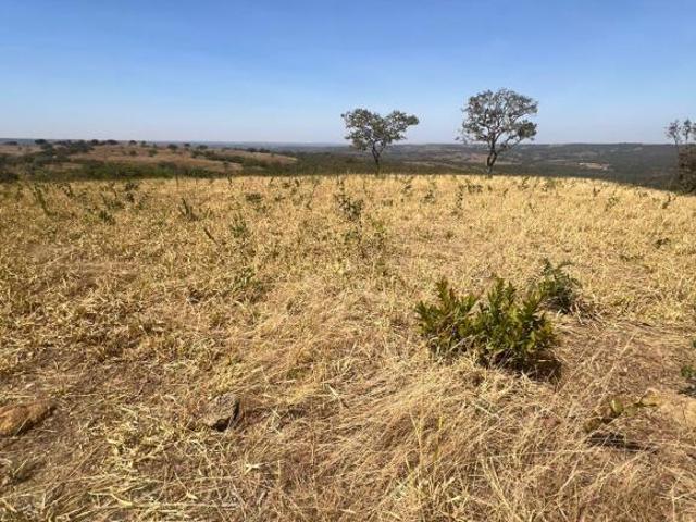 Oportunidade região do corumbá 4 vendo 34 hectares