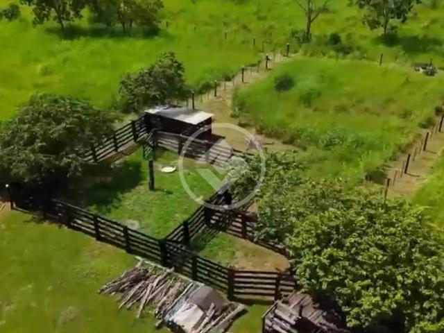 Oportunidade Rural – Fazenda Estruturada na Região Sadia 3