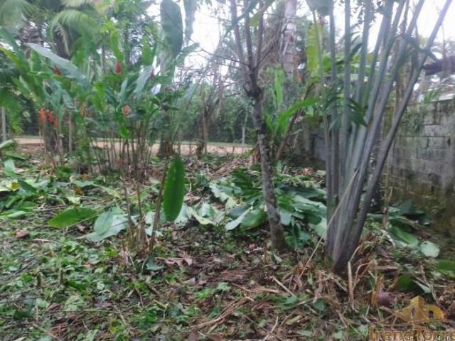 OPORTUNIDADE TERRENO 501M2 NO ITAMAMBUCA, PÉ NA AREIA R$1.700.000,00