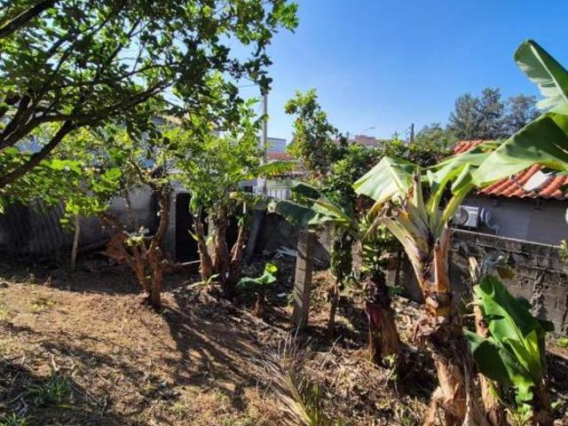 Oportunidade Terreno Vila Pinheiros Jacareí 163m²