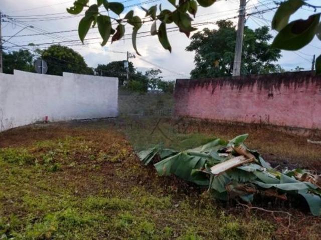 Oportunidade Terreno Vila Zizinha 375m²