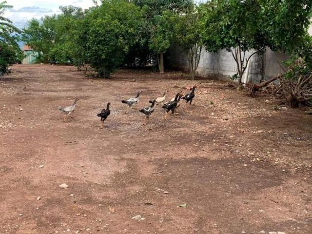 Oportunidade! Terreno à venda no bairro Chácara Julieta Cristina, Bragança Paulista, SP