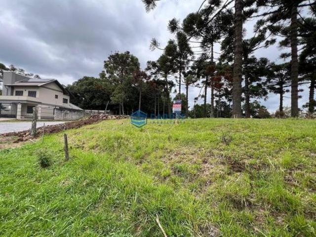 Oportunidade terreno a venda com 498m² Bela Vista
