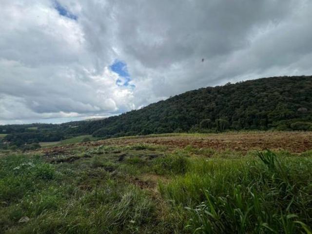 Oportunidade! Terreno à Venda em Ibiúna