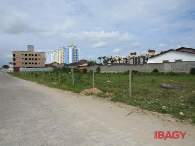 Oportunidade! Terreno em Areias São José