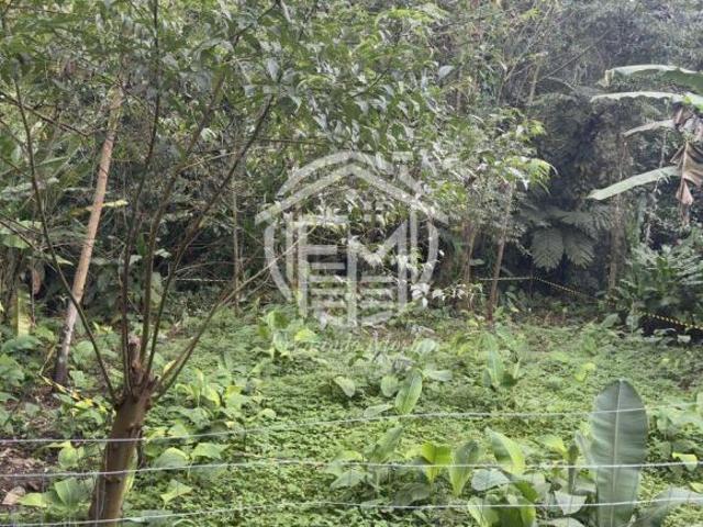 Oportunidade terreno em itamambuca já com licença ambiental