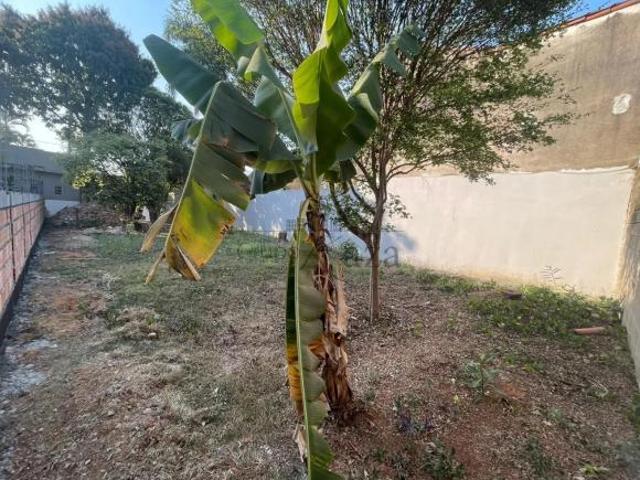 Oportunidade Terreno Jacareí Jardim Siesta 260m²