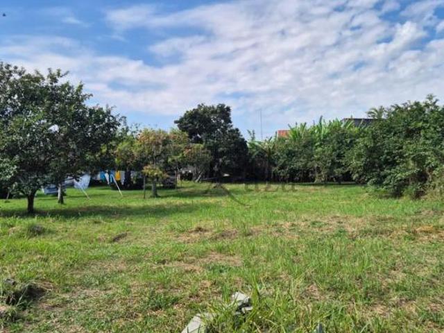 Oportunidade Terreno Jardim Jacinto Jacareí 3.100m²